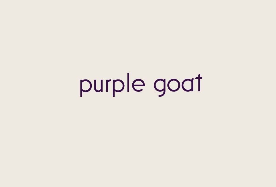 Purple Goat’s Mission to Empower Disability Representation in Marketing ...